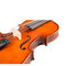 Free Shipping Stradivari Cremonese 1716 Model Violin FPVN01 with Canvas Case and Brazil Bow Rosin The head is made of