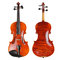 Hot Sale 4/4-1/8 Size Plywood Body with Very Nice Flamed Veneer on Top Student Violin