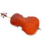 Handmade/Advanced Solid Wood Cello High Quality Aca500 The high carbon steel string is very ductile and very elastic