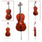 China Wholesale Hand Made Solid Spruce Maple Cello The back of a cello is often made of one or two cut pieces of solid