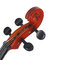 Good Quality Hand Made Solid Spruce Solid Maple Cellos 1/4-4/4 Fingerboards, strings, buttons, and strings are mostly ma