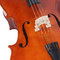 China Wholesale Hand Made Solid Spruce Maple Cello The back of a cello is often made of one or two cut pieces of solid